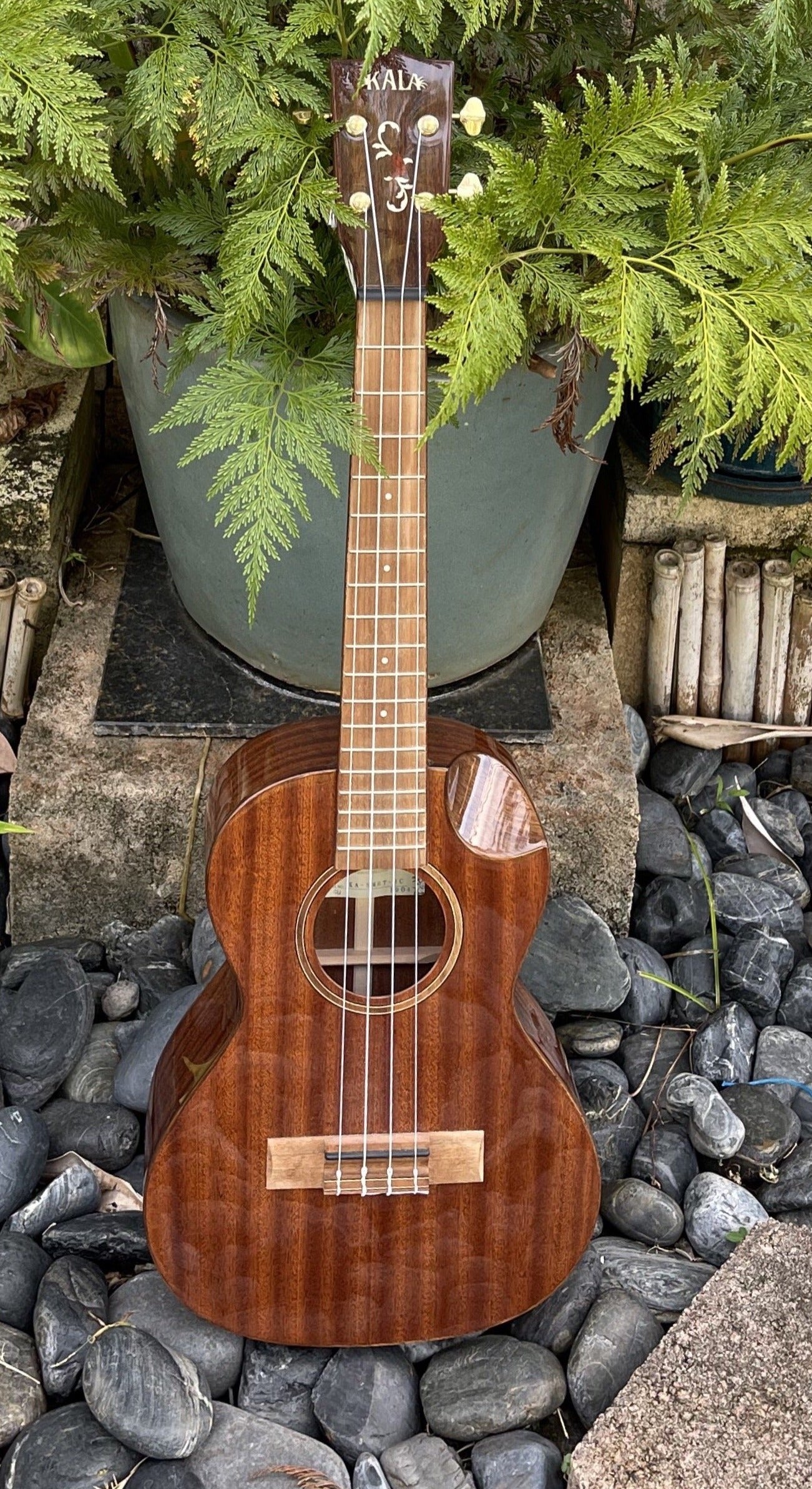 WOOD 'UKULELE - 'Ukulele