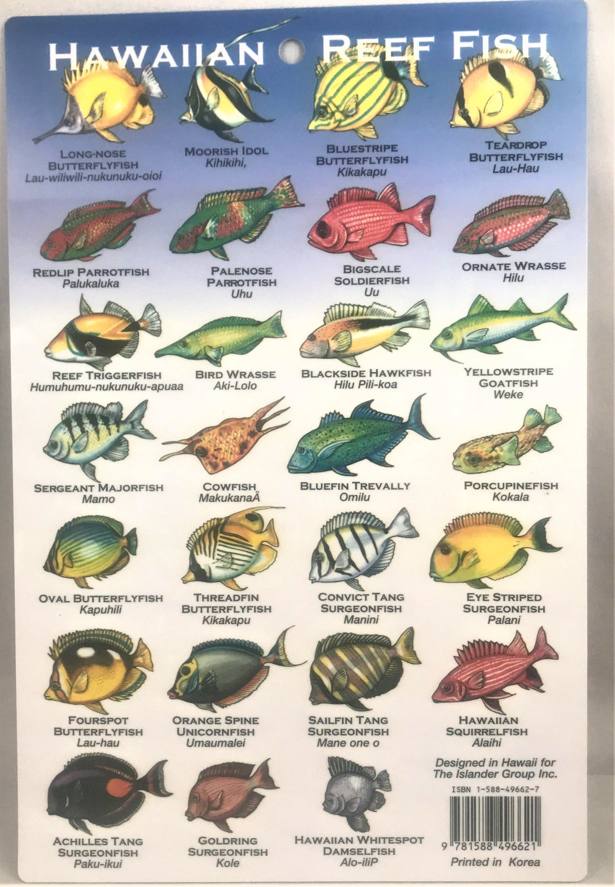 Hawaii Fish Guide Maui Map Fish Galvanised ID